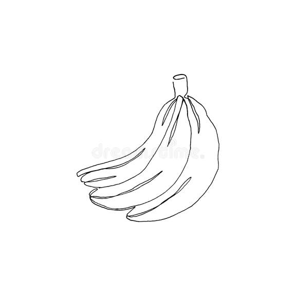 Simple Continous Line Art Vector Design Stock Vector - Illustration of ...