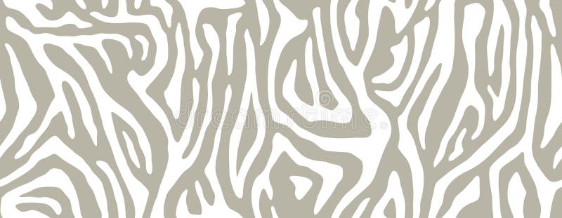 Zebra Pattern, Stylish Stripes Texture. Animal Natural Print. for the ...