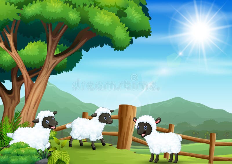 Three Sheep Illustration stock vector. Illustration of three - 26892348