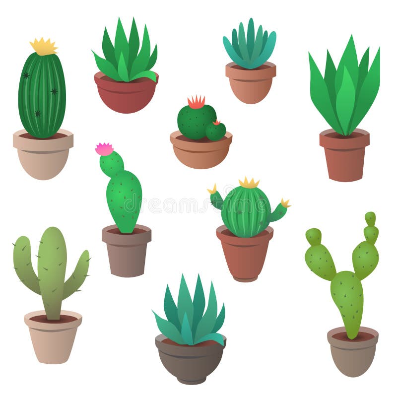 Cactus, Agave and Other Plants in Pots. Vector Icon Collection Stock ...