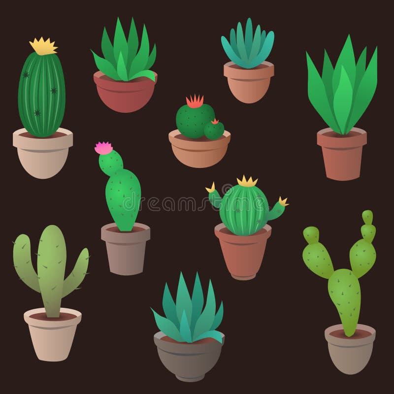 Cactus, Agave and Other Plants in Pots. Vector Icon Collection Stock ...
