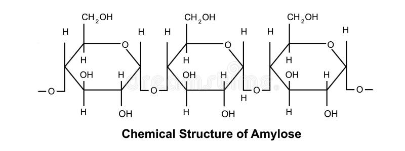 Chemical Structure of Amylose Stock Vector - Illustration of isolated ...