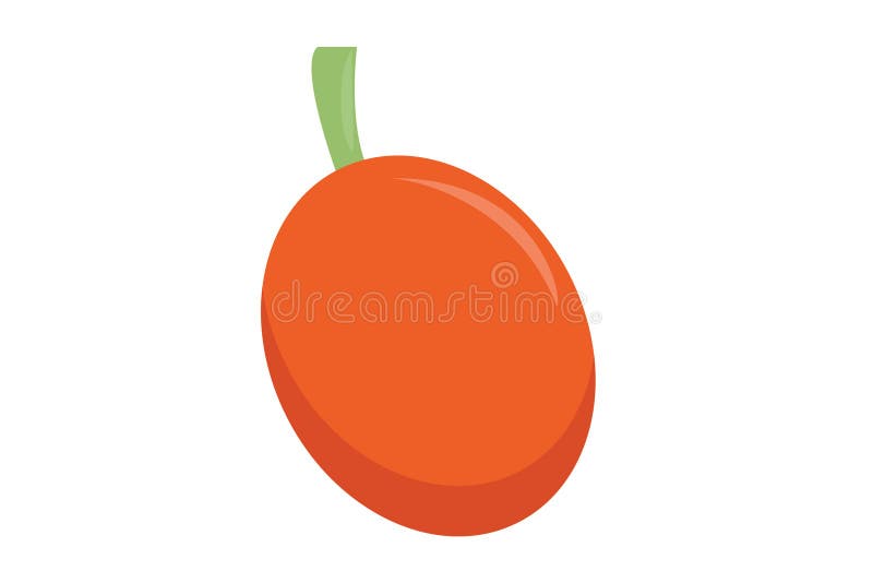 Imbe Fruit Stock Illustrations – 335 Imbe Fruit Stock Illustrations ...
