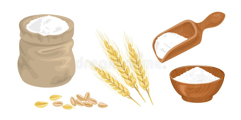 Wheat Flour Set. Vector Food Illustration Stock Vector - Illustration ...