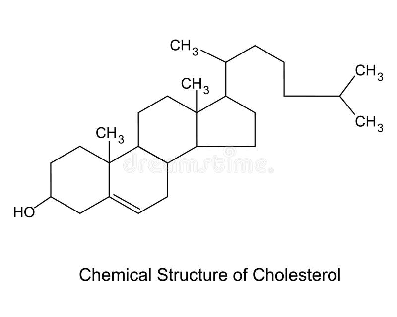 Chemical Structure of Cholesterol. Stock Vector - Illustration of ...