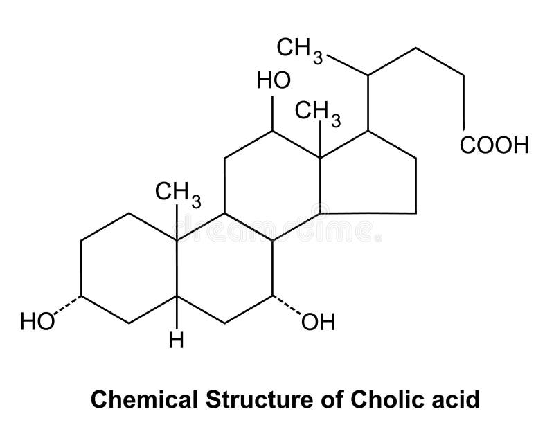Chemical Structure of Cholic Acid Stock Vector - Illustration of ...