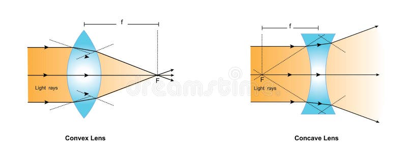 Diverging and Converging Lenses. Type of Eye Lens. Convex and Concave ...