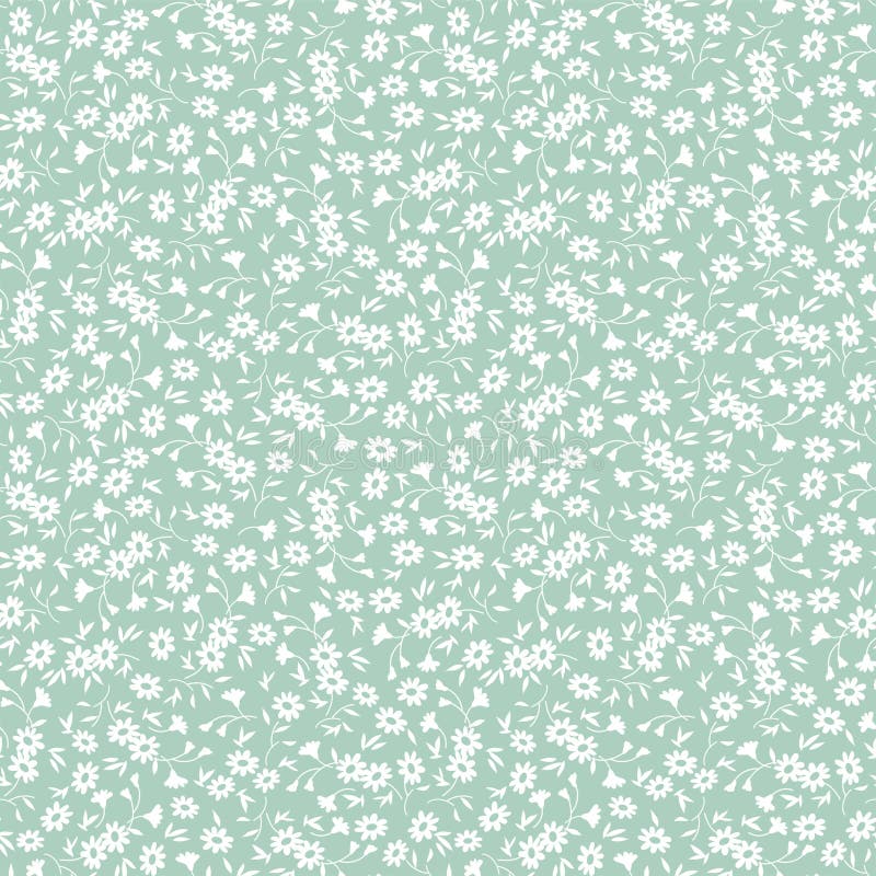 Mint Green Background, Seamless Pattern White Tiny Daisy Flower Stock ...