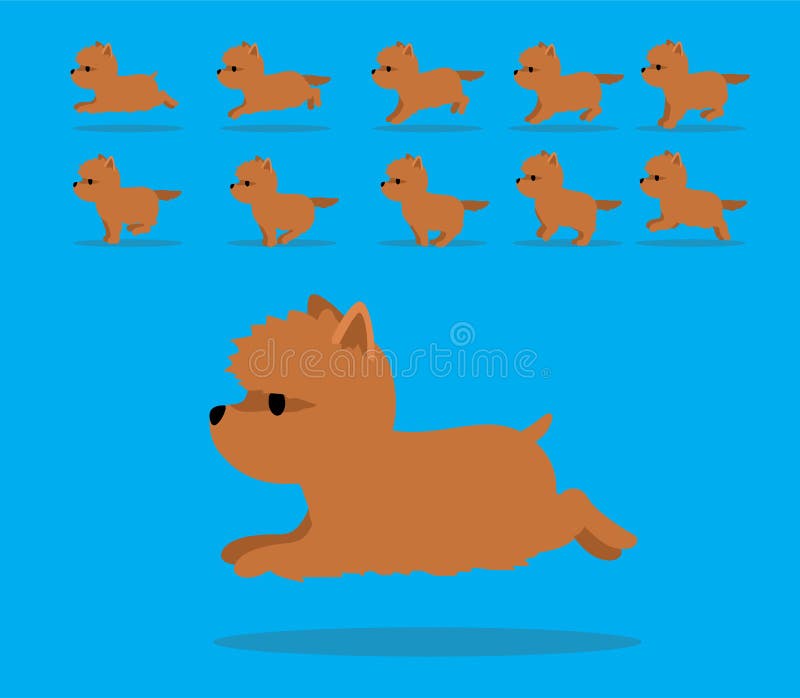 Animal Animation Sequence Dog Australian Terrier Cartoon Vector Stock ...
