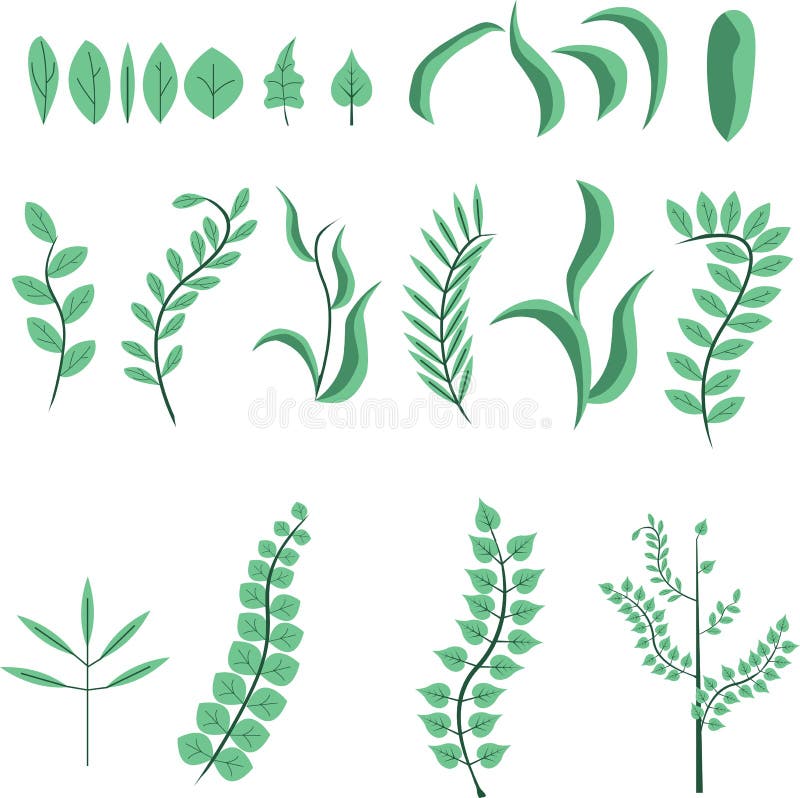 Set of Decorative Plants and Leafs , Flat Design , Green Color ...