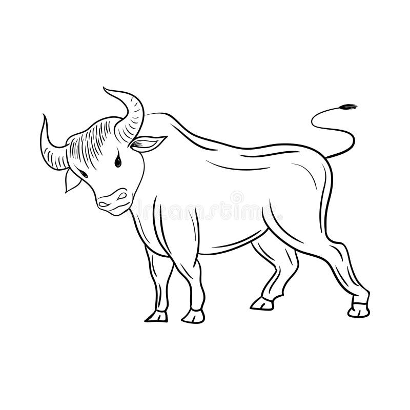 Ox Tail Stock Illustrations – 258 Ox Tail Stock Illustrations, Vectors ...