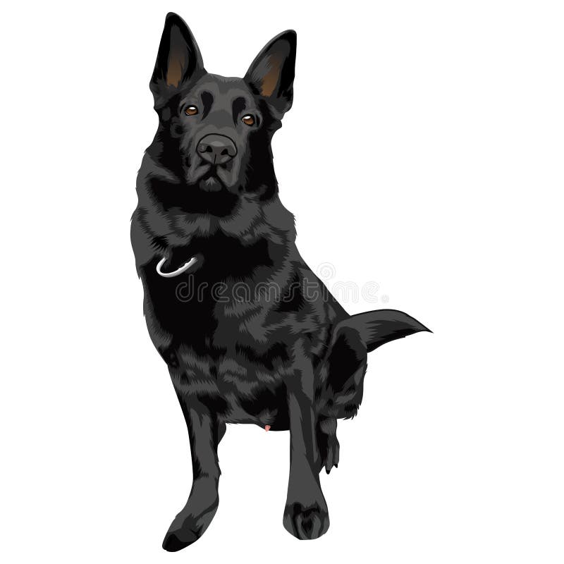 Police Sheep Stock Illustrations – 77 Police Sheep Stock Illustrations ...