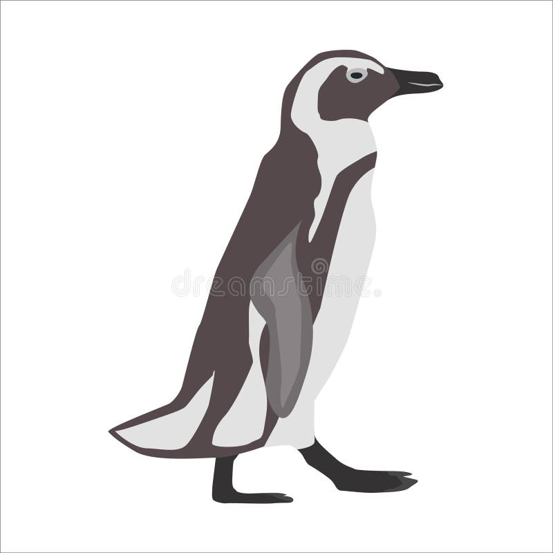 Flat Design Penguin Vector Illustration Stock Vector - Illustration of ...