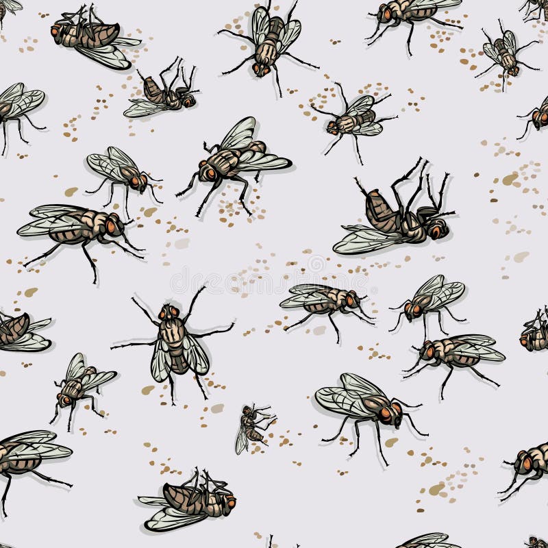 Fly, Insect, Various Poses, Movements and Foreshortenings of Figures ...