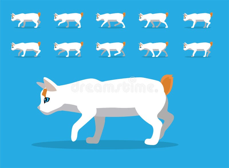 Cat Walk Animation Stock Illustrations – 131 Cat Walk Animation Stock ...