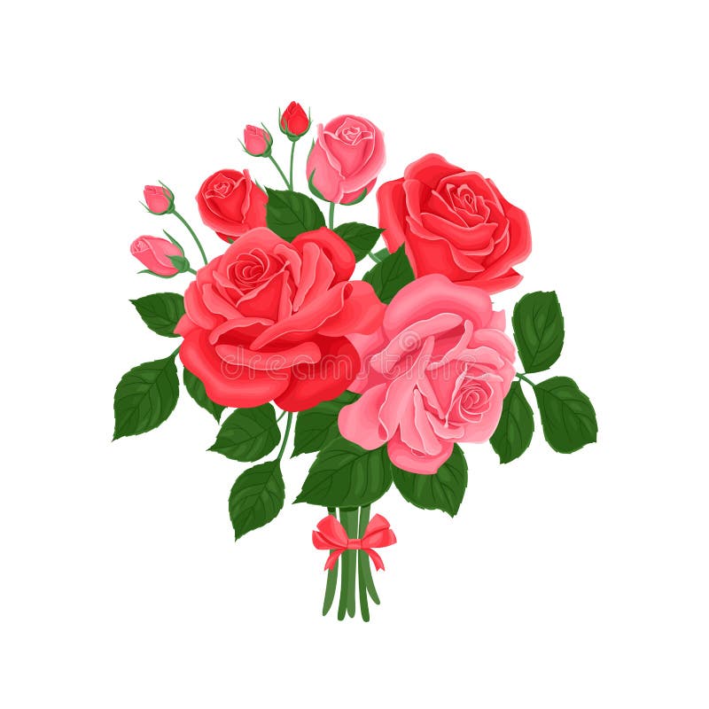 Red and Pink Roses Bouquet Isolated on White Background. Vector ...
