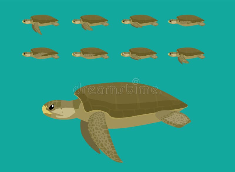 Flatback Sea Turtle Stock Illustrations – 52 Flatback Sea Turtle Stock ...