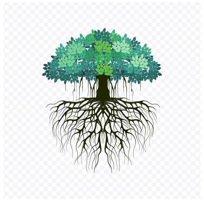 Printable Banyan Tree Image with Strong Roots Stock Vector ...