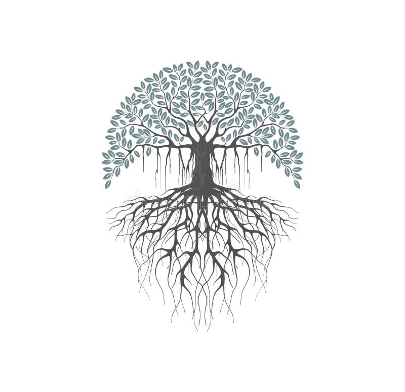 Banyan Tree Line Drawing