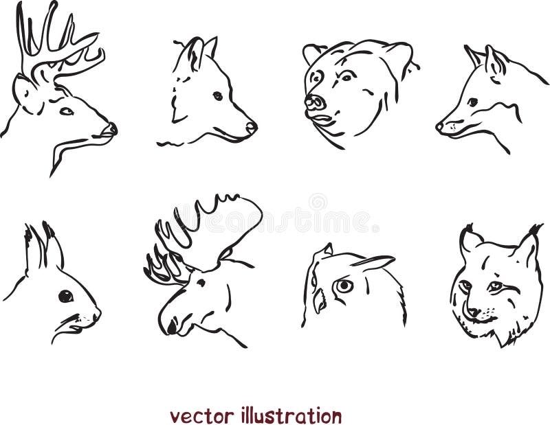 Vector Sketch of Animal Heads Stock Vector - Illustration of design ...