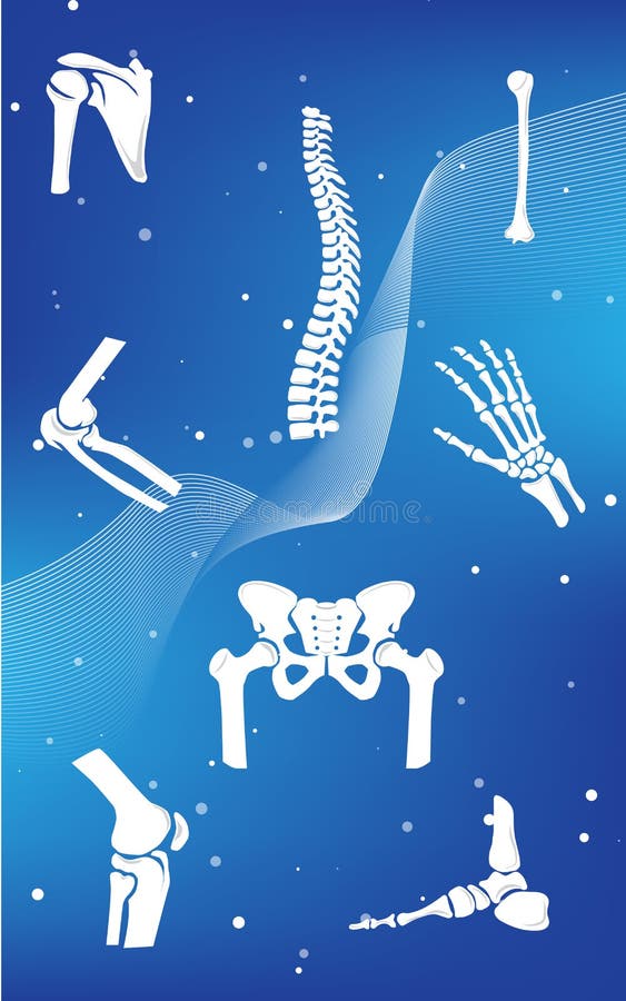 Abstract Blue Background. Hand and Wrist Bone. Stock Vector ...