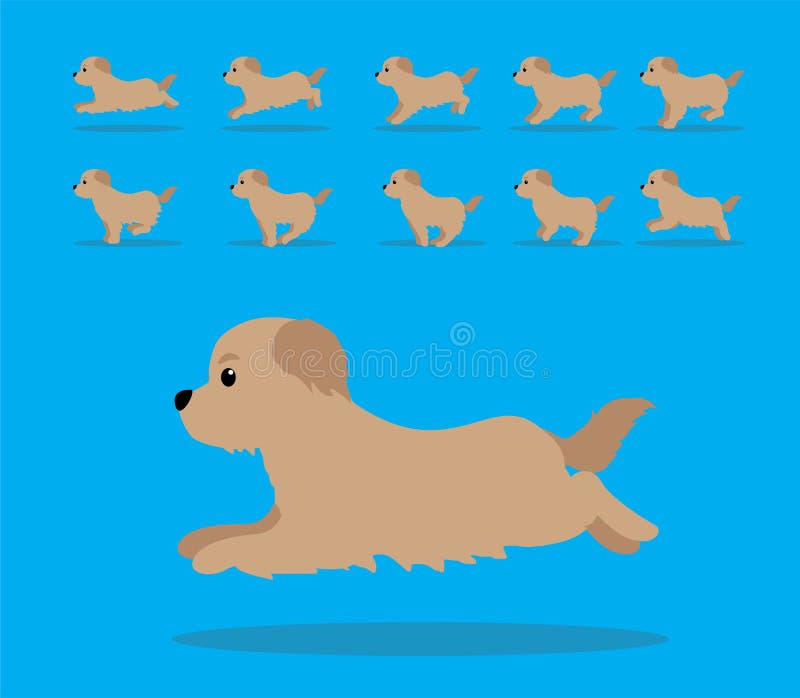 Animal Animation Sequence Dog Pyrenean Sheepdog Cartoon Vector Stock ...