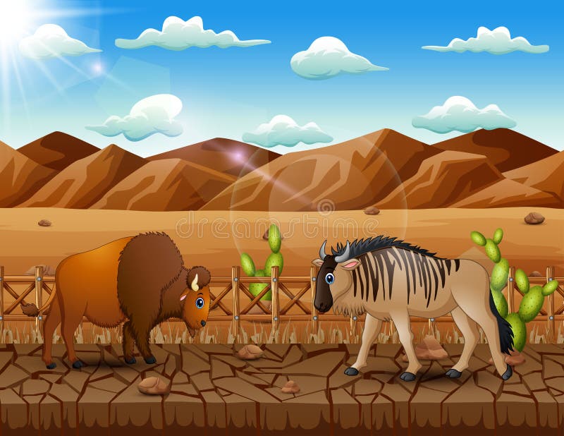 Cartoon A Bison And Wildebeest In The Dry Land Landscape Stock Image ...