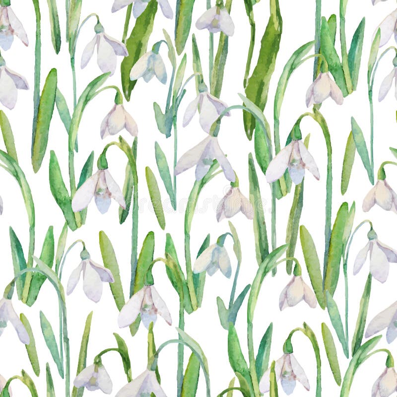Vector Seamless Pattern with Watercolor Snowdrops. a Repeating ...