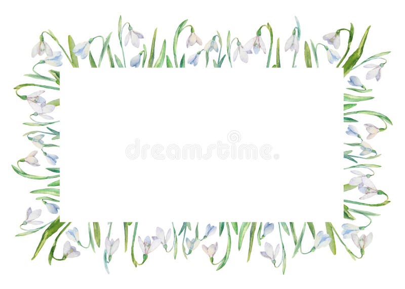 Border Snowdrops Stock Illustrations – 303 Border Snowdrops Stock ...