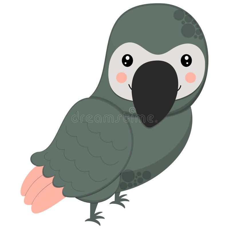 Cute Cartoon Character Gray Parrot on a White Background. Stock Vector ...