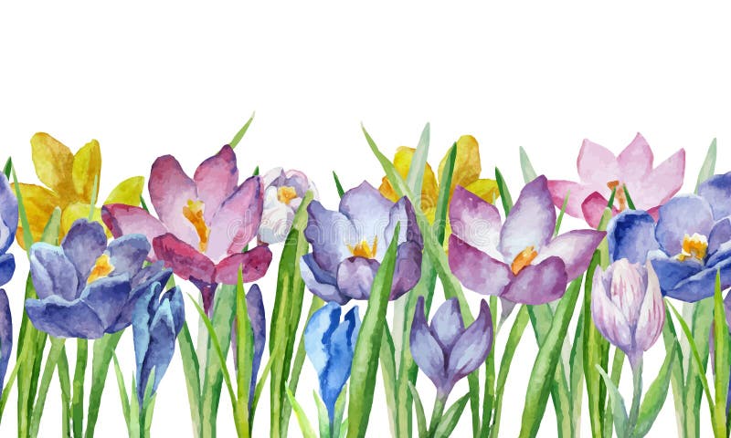 Crocus Border Stock Illustrations – 1,183 Crocus Border Stock ...
