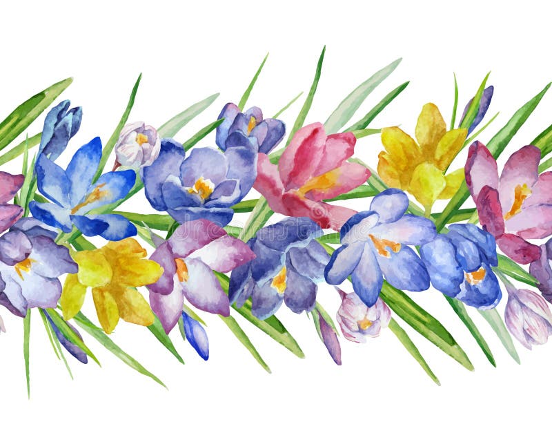 Crocus Border Stock Illustrations – 1,183 Crocus Border Stock ...
