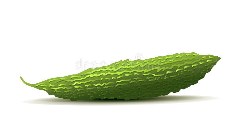 Bitter Gourd Character. Vector Illustration Decorative Design Stock ...