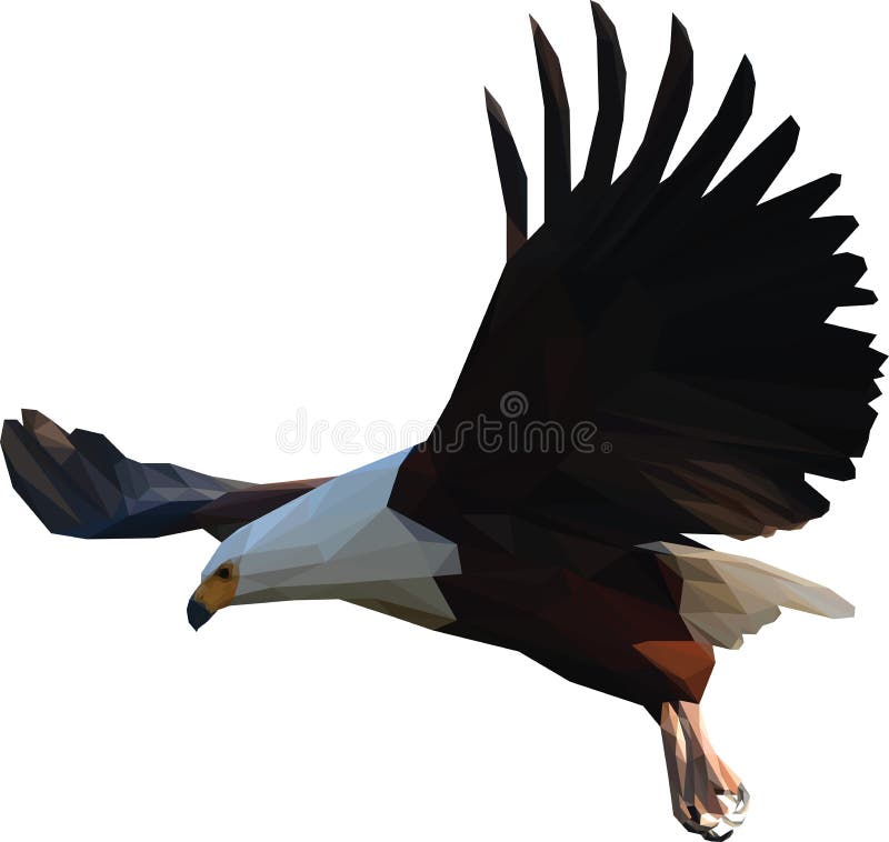 Low Poly Eagle, Bird, Flying Stock Vector - Illustration of geometry ...