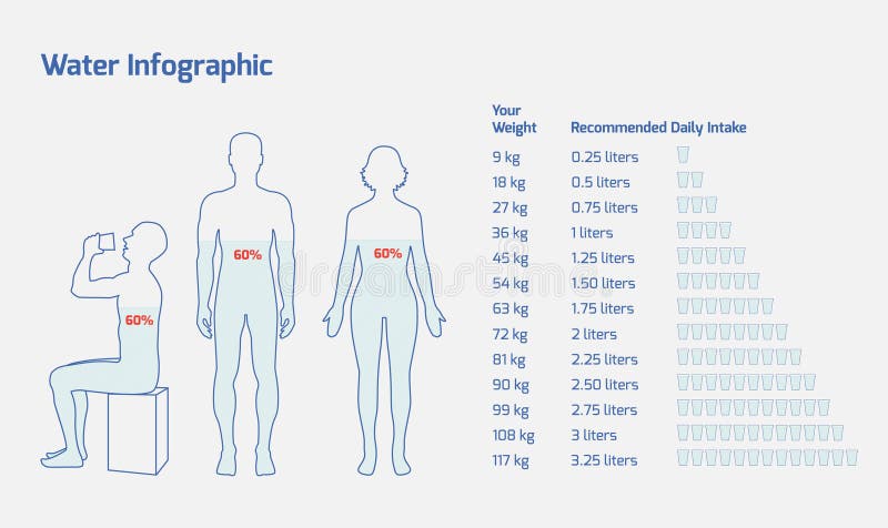 Water Levels in Human Body in Different Ages- Human Age, Water Level ...