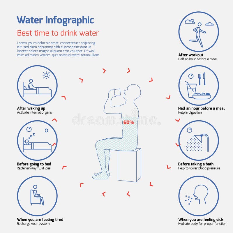 Water Infographics - Best Time To Drink Water - Vector Eps 10 Stock ...