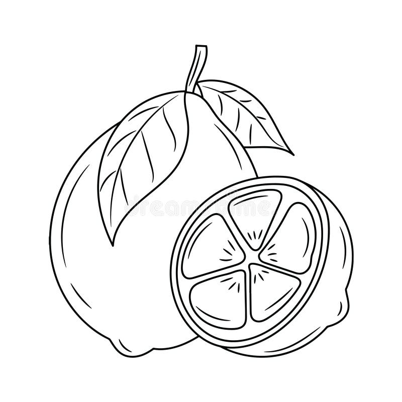 Lemon Outline Icon, Citrus Outline Vector Symbol, Modern Minimal Flat ...