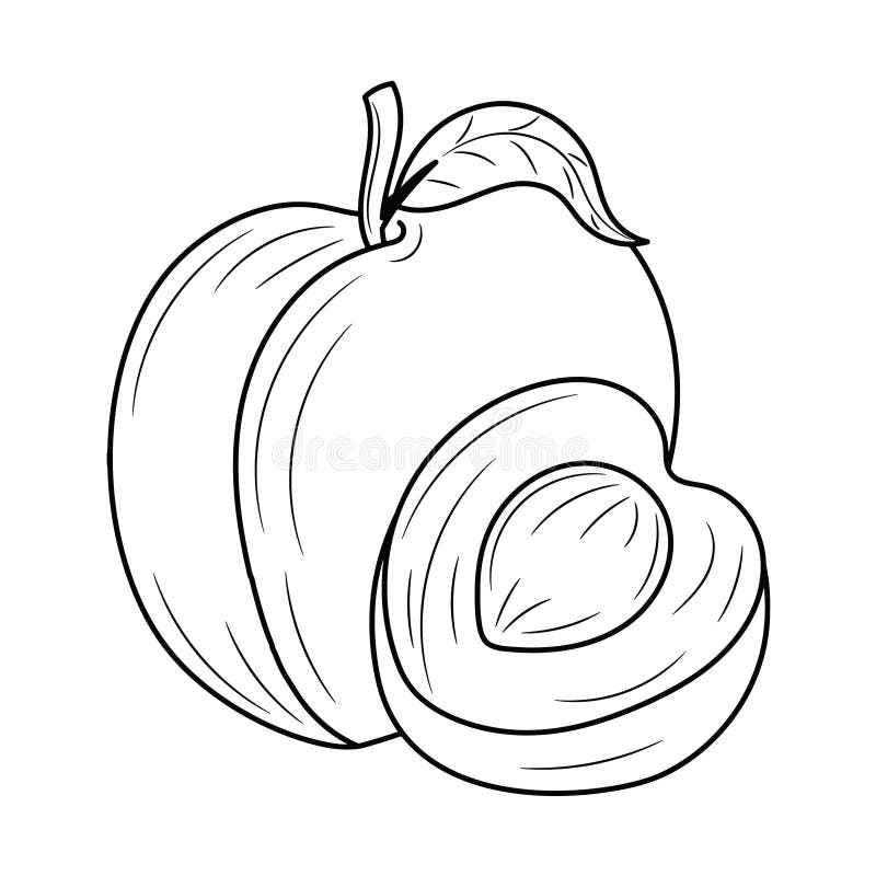 Peach Outline Stock Illustrations – 5,915 Peach Outline Stock ...