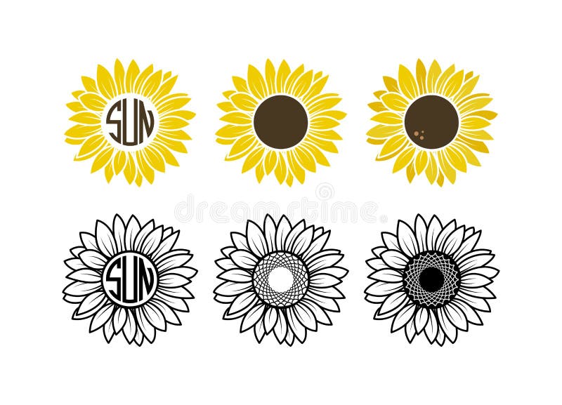 Sunflower Monogram Template, Half Sunflower, Hand Drawn Vector ...