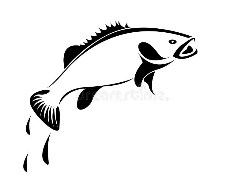 Murray Cod Stock Illustrations – 6 Murray Cod Stock Illustrations ...