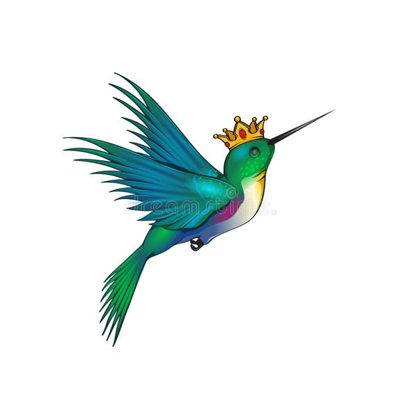 Colourful Hummingbird Mascot Design Stock Illustration - Illustration ...