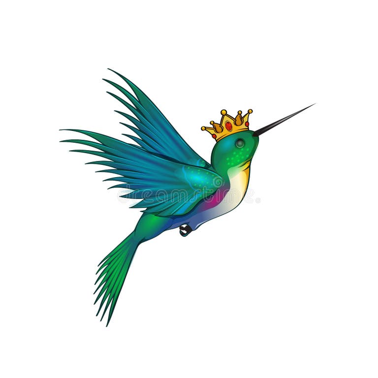 Colourful Hummingbird Mascot Design Stock Illustration - Illustration ...