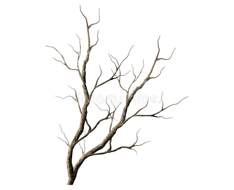 Dead Tree Illustration, Dry and Molting Tree Sketch Rough and Hand ...