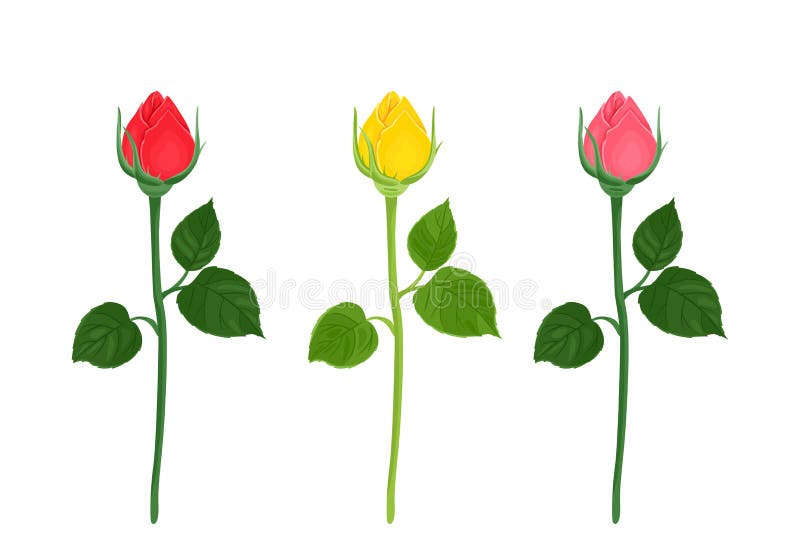 Closed Rose Bud Tattoos