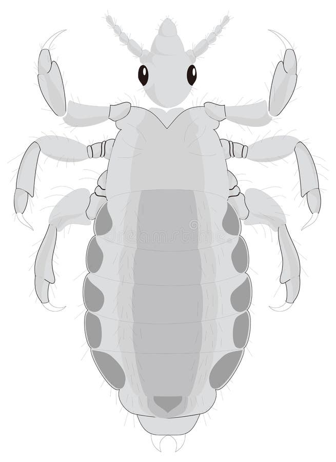Cartoon Lice Stock Illustrations – 343 Cartoon Lice Stock Illustrations ...