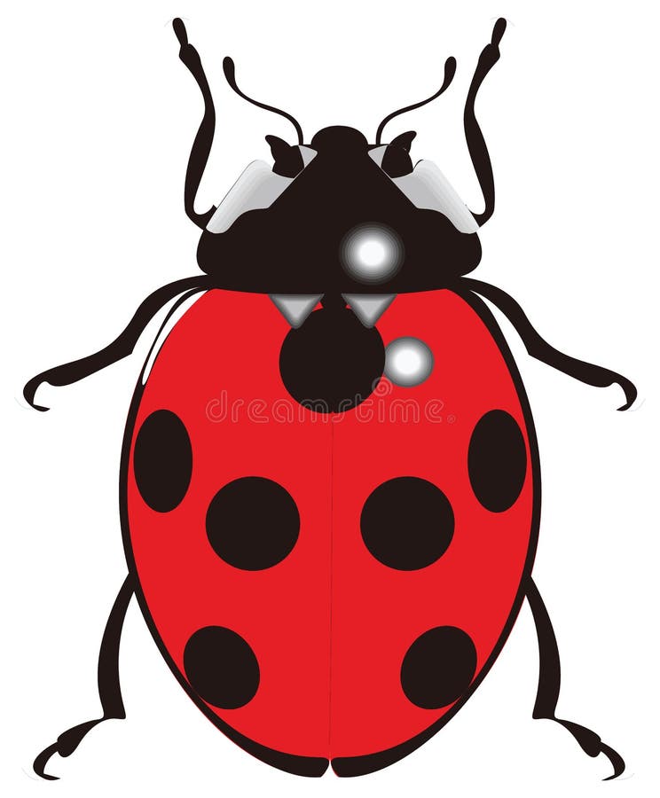 Red Black Bug Insect Vector Illustration Transparent Background Stock ...