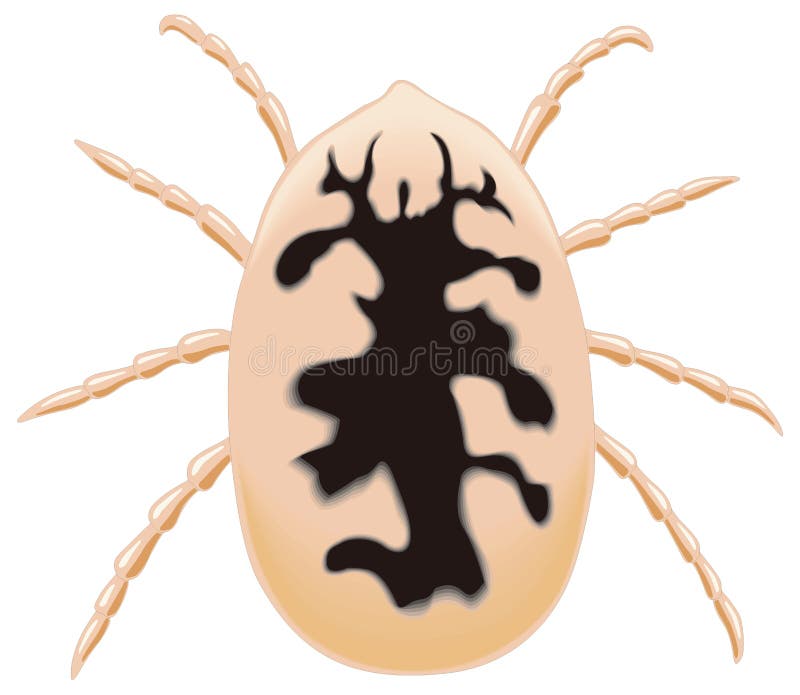 Tick Bug Cartoon Stock Illustrations – 1,000 Tick Bug Cartoon Stock ...