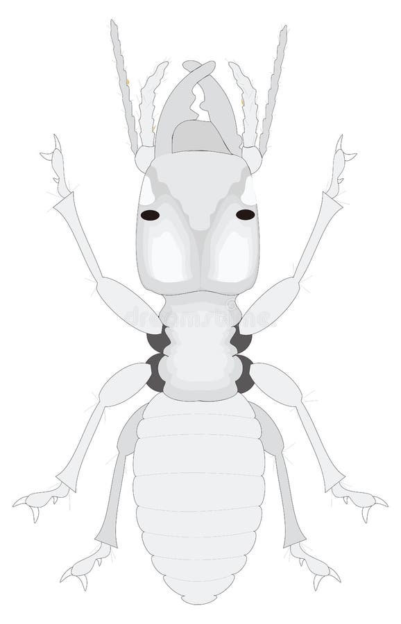 Termite Clipart Stock Illustrations – 482 Termite Clipart Stock ...