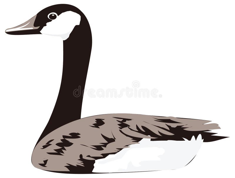 Goose Clipart Stock Illustrations – 1,185 Goose Clipart Stock ...