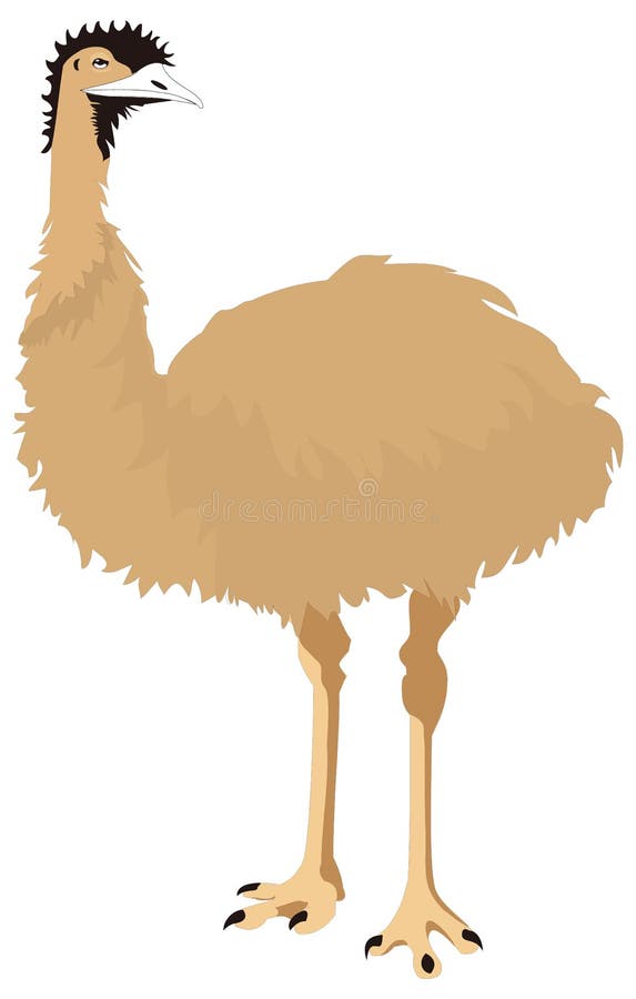 Colorful Emu Stock Illustrations – 594 Colorful Emu Stock Illustrations ...